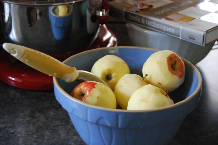 Crock Pot Apple Cobbler Experiment – In Mama Steph's Kitchen